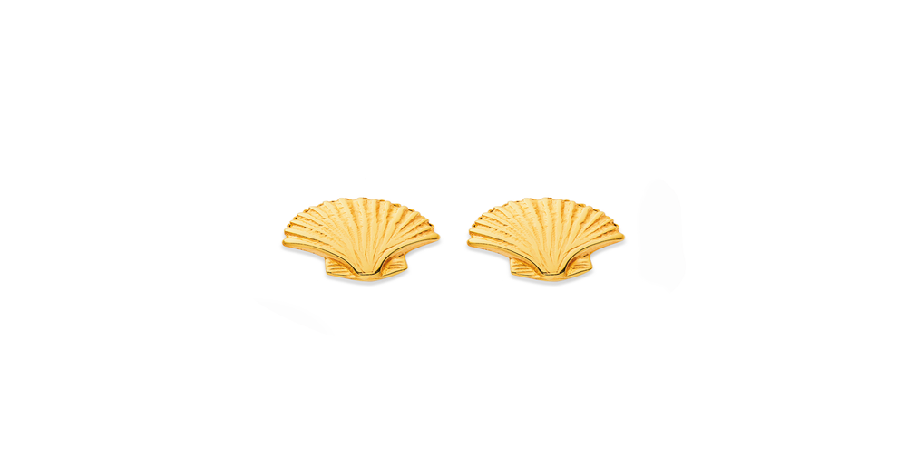 9ct, Sea Shell Studs | Stewart Dawsons